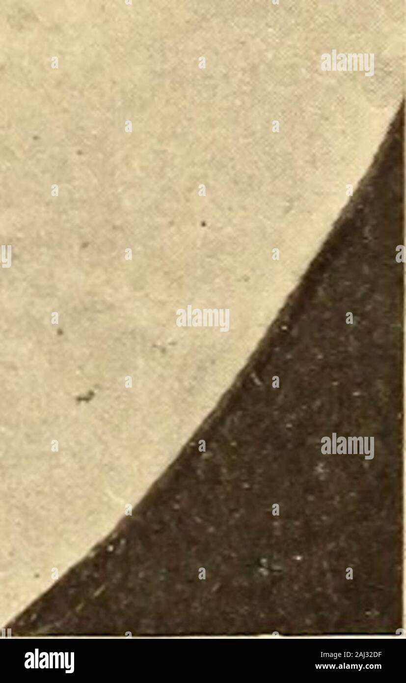 Induced cell-reproduction and cancer.. . Fig. 41.—A resting lymphocyte ...