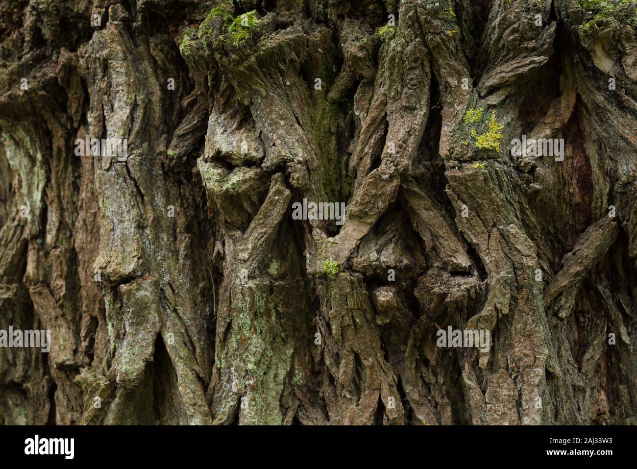 Rip in the structure hi-res stock photography and images - Alamy