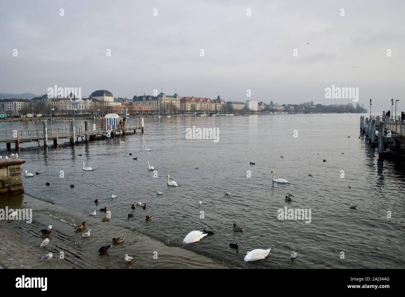 Lake Zurichsee in Zurich, Switzerland Stock Photo - Alamy
