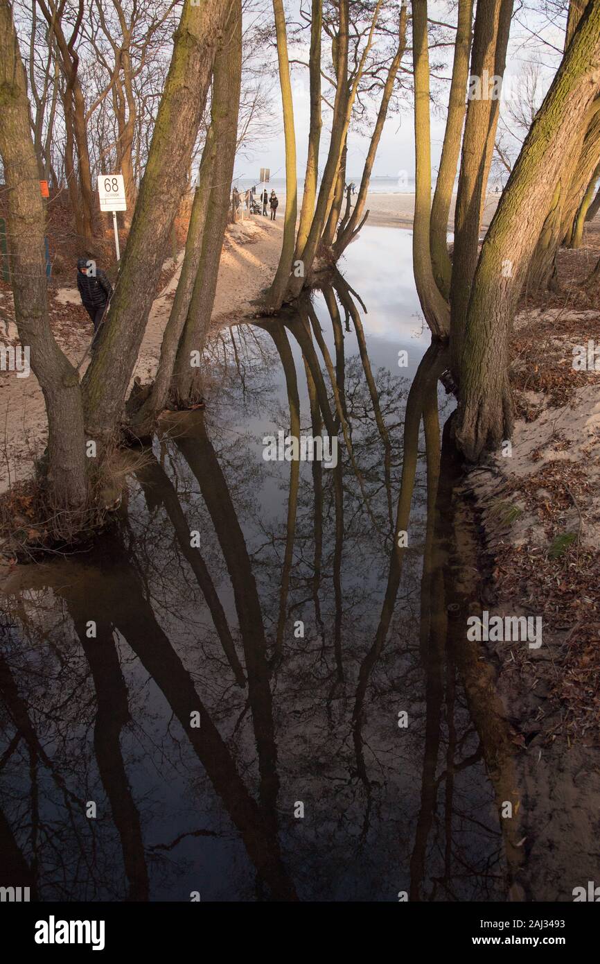 River mouth of potok oliwski hi-res stock photography and images - Alamy