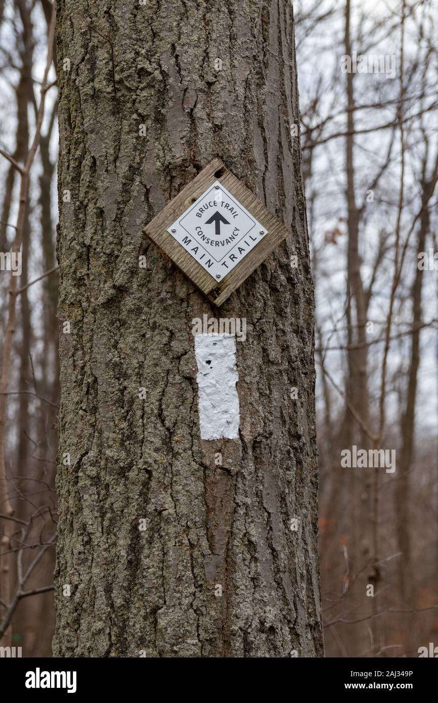 Wooden trail markers hi-res stock photography and images - Alamy