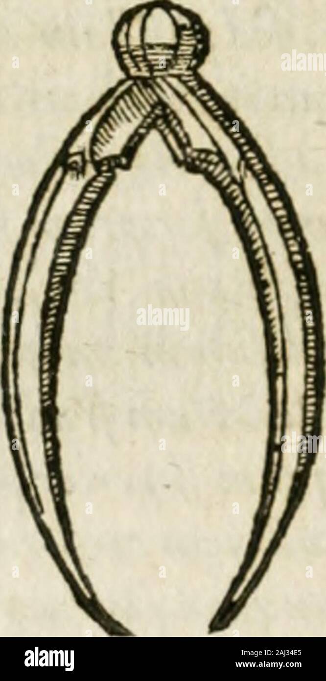 Oip hi-res stock photography and images - Alamy