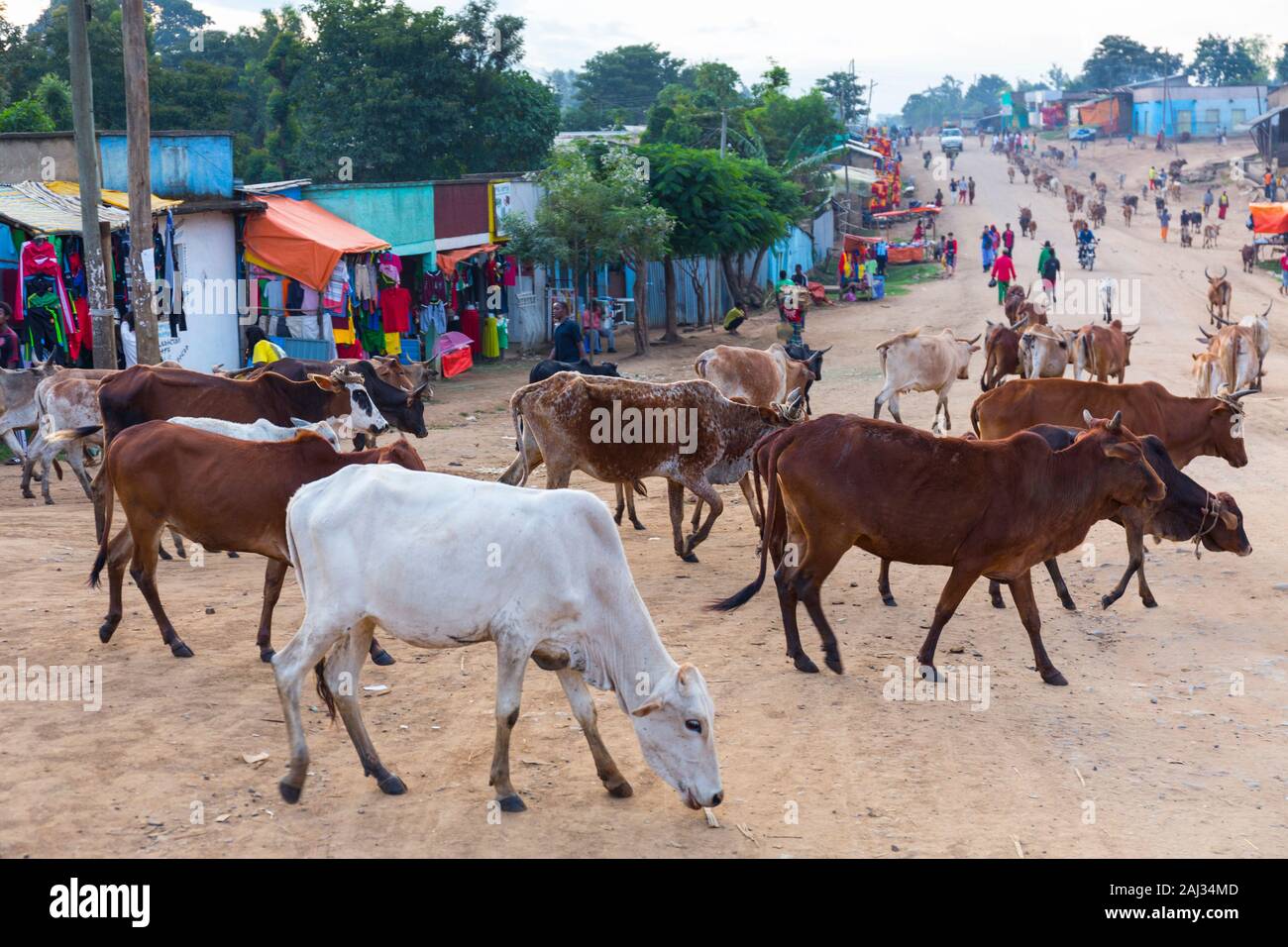 Jinka town, Naciones, Ethiopia, Africa Stock Photo - Alamy