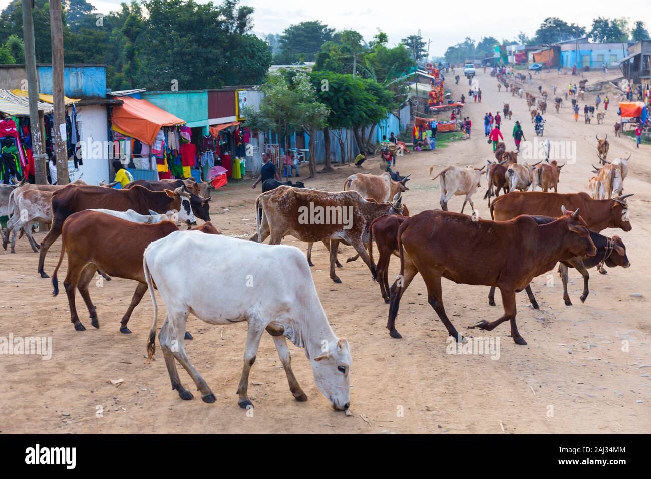 Jinka town, Naciones, Ethiopia, Africa Stock Photo - Alamy