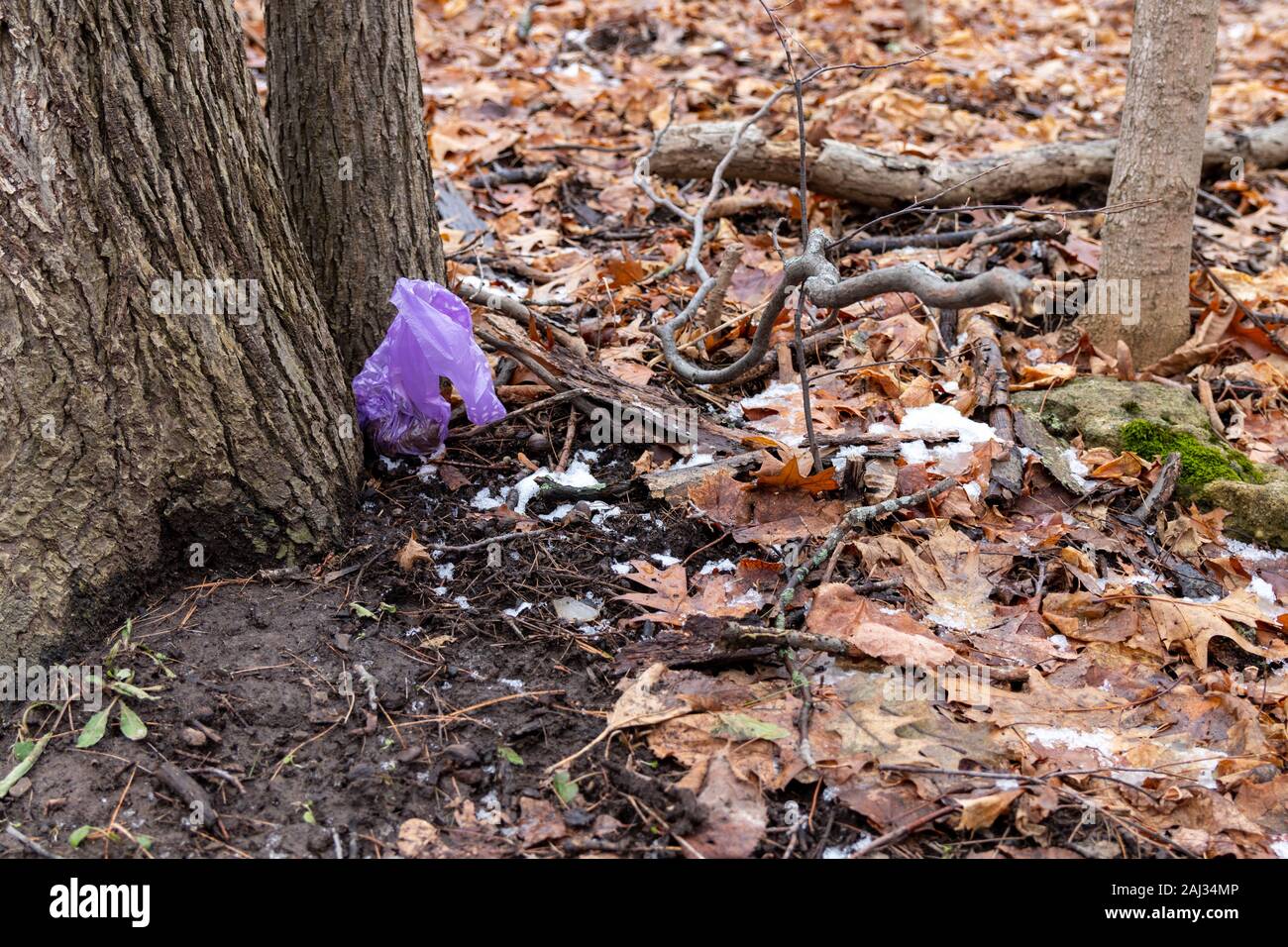 Doggy poop bag left next to a tree in the forest Stock Photo - Alamy