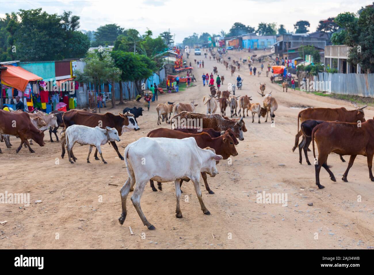 Jinka town, Naciones, Ethiopia, Africa Stock Photo - Alamy