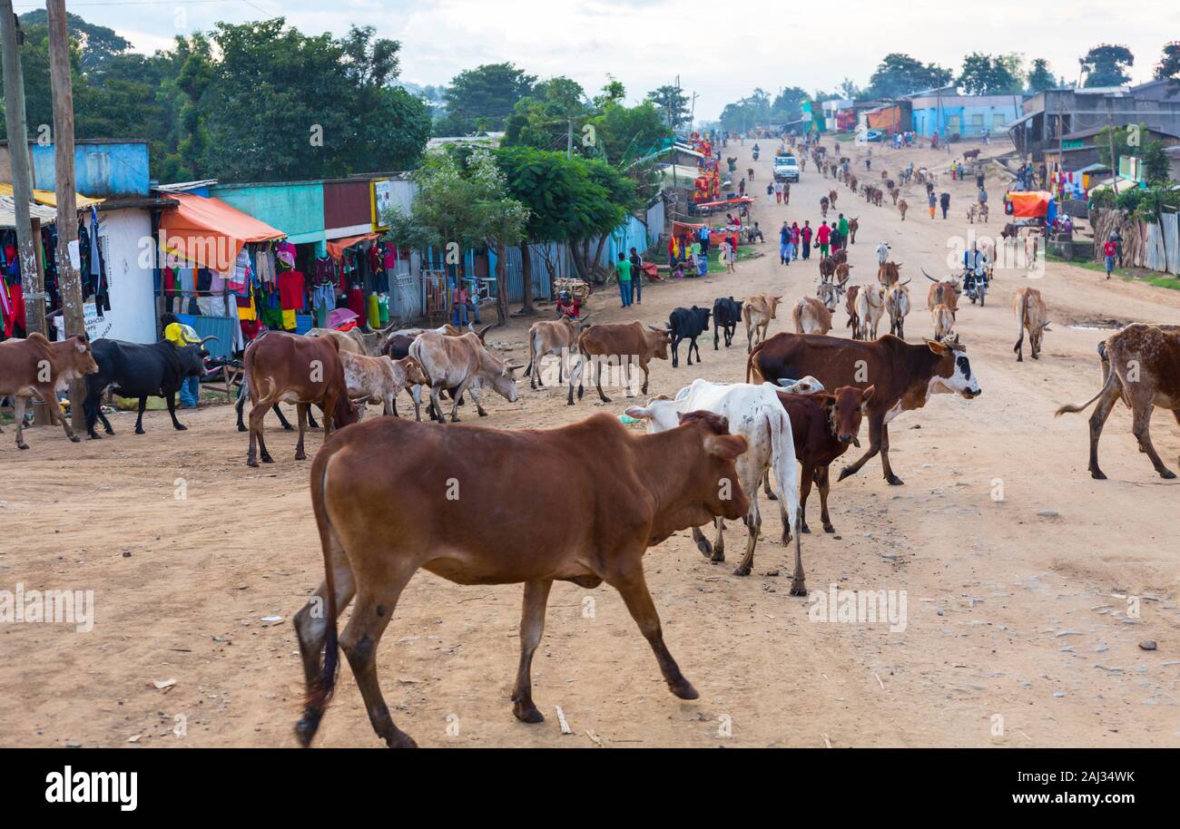 Jinka town, Naciones, Ethiopia, Africa Stock Photo - Alamy