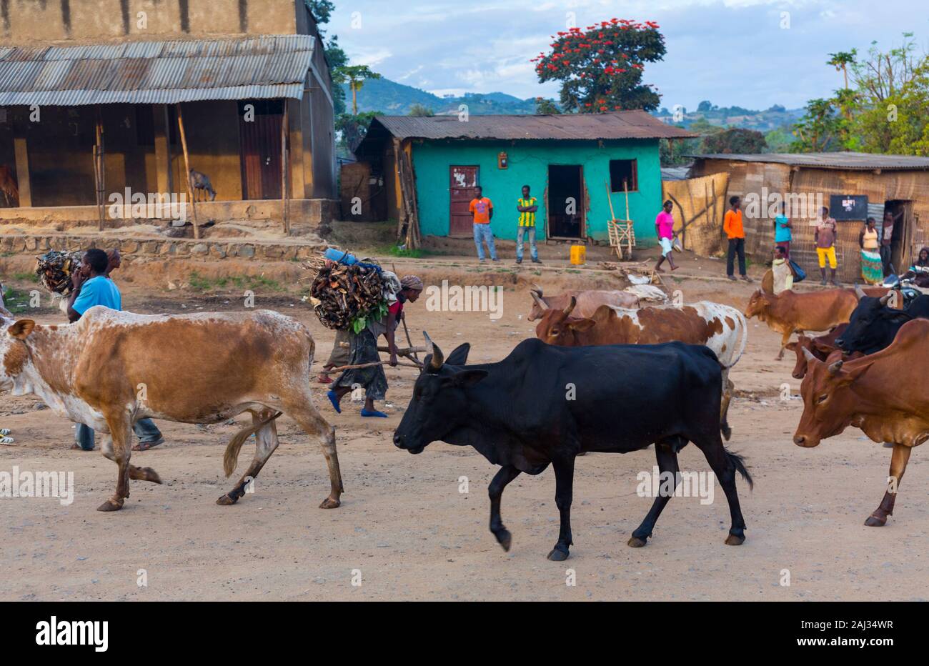 Jinka town, Naciones, Ethiopia, Africa Stock Photo - Alamy