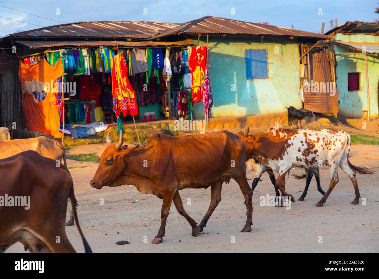 Jinka town, Naciones, Ethiopia, Africa Stock Photo - Alamy