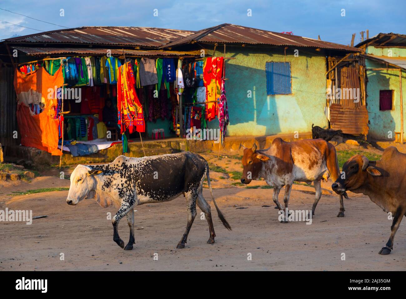 Jinka town, Naciones, Ethiopia, Africa Stock Photo - Alamy