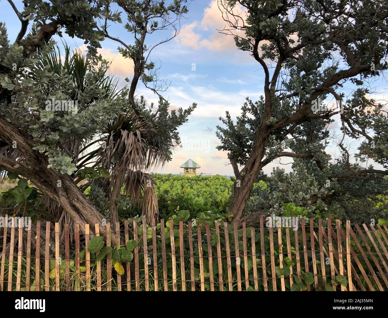 tropical beach landscape in Florida Stock Photo - Alamy