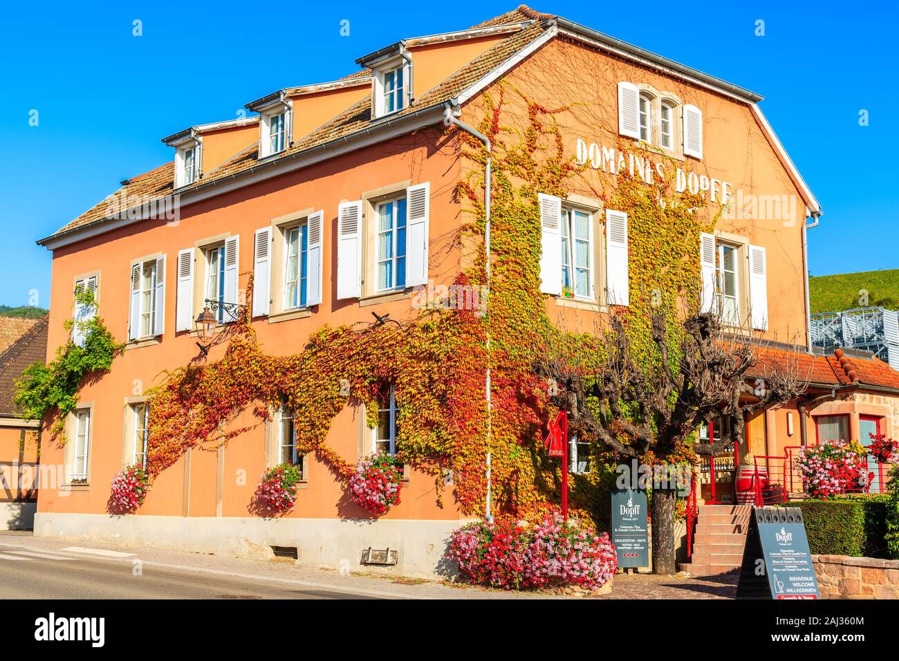 RIQUEWIHR, FRANCE - SEP 19, 2019: Beautiful historic house and winery ...