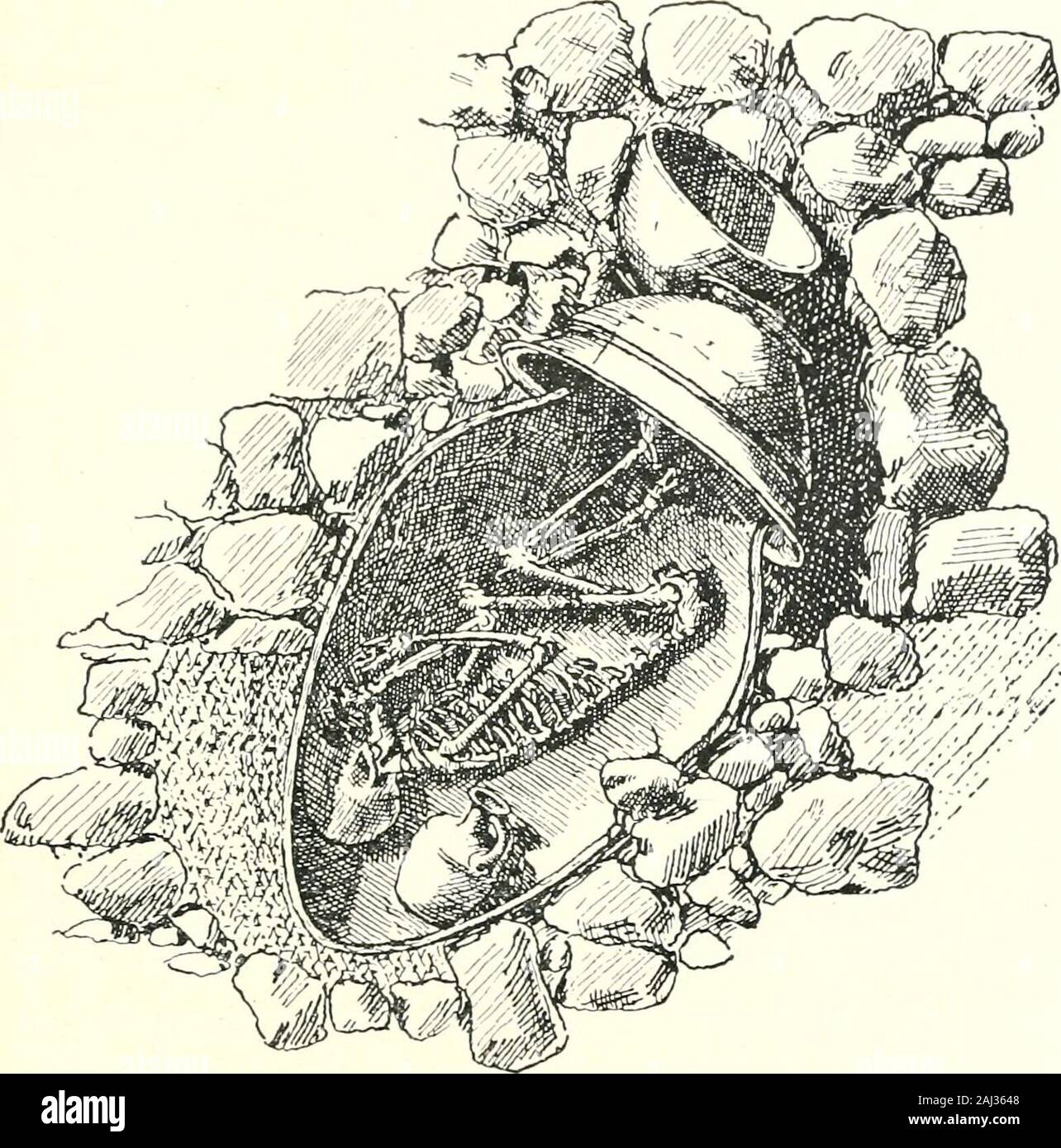 Battle of megiddo hi-res stock photography and images - Alamy