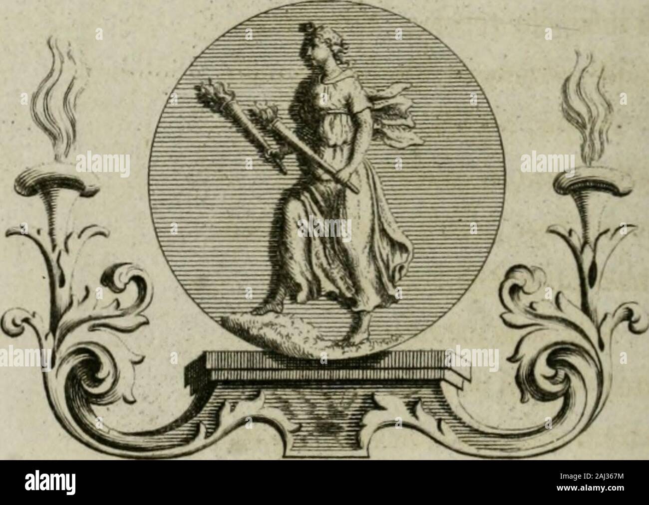 Nudis hi-res stock photography and images - Alamy