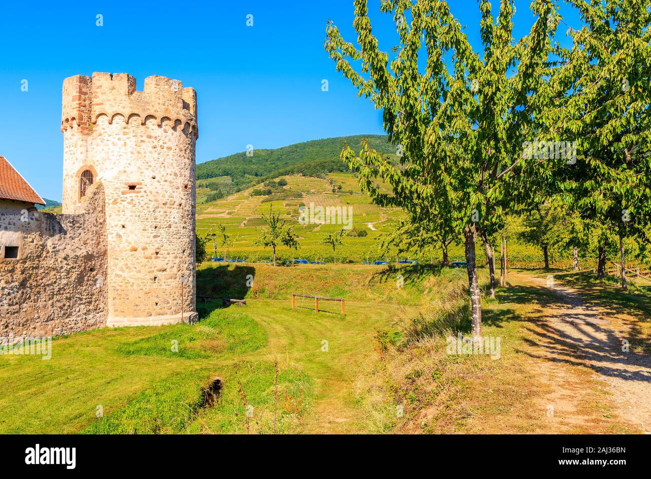Beautiful castle tower in picturesque Kientzheim village, Alsace wine ...