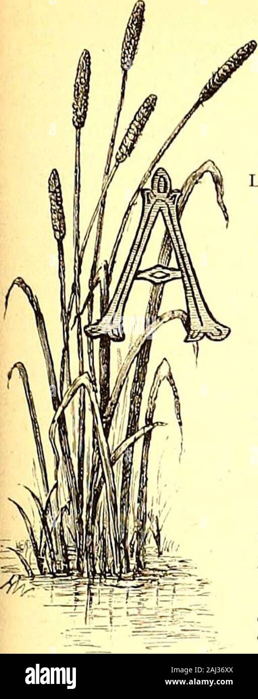 Mrs diaz hi-res stock photography and images - Alamy