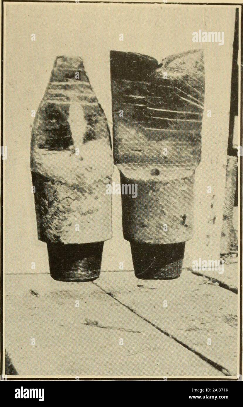 Bailer shell hi-res stock photography and images - Alamy