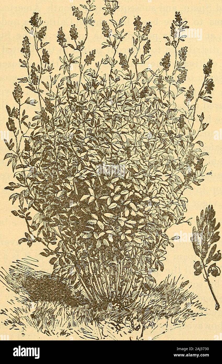 Horticulture by irrigation . est safeguard that can be adopted is to ...