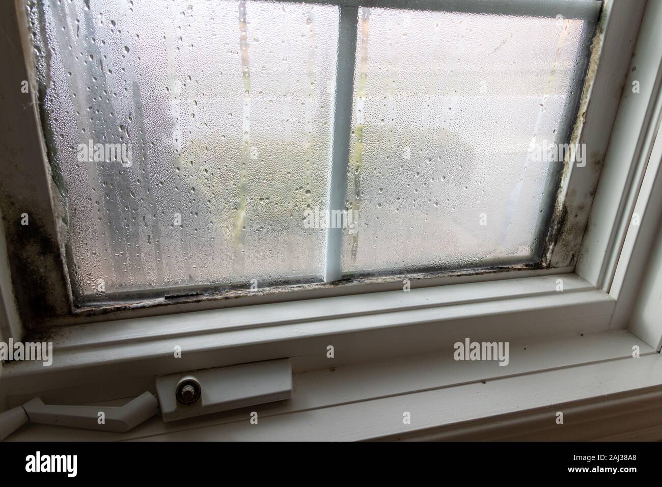 Moist mold and fungus in window and frame Stock Photo - Alamy
