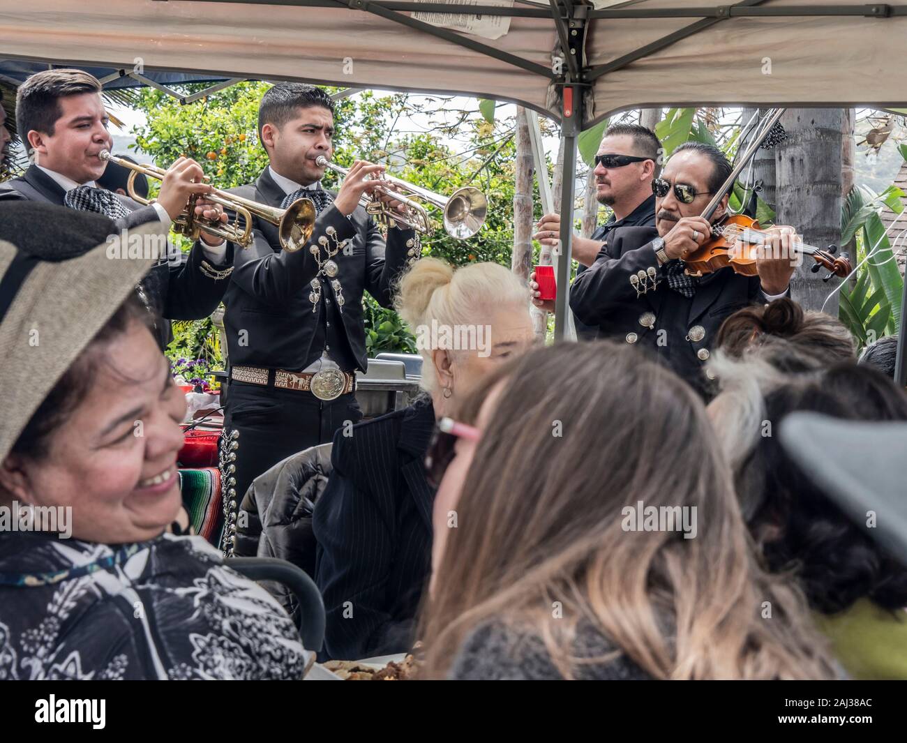 Mexican mariachi band playing happy, iconic, traditional music at ...