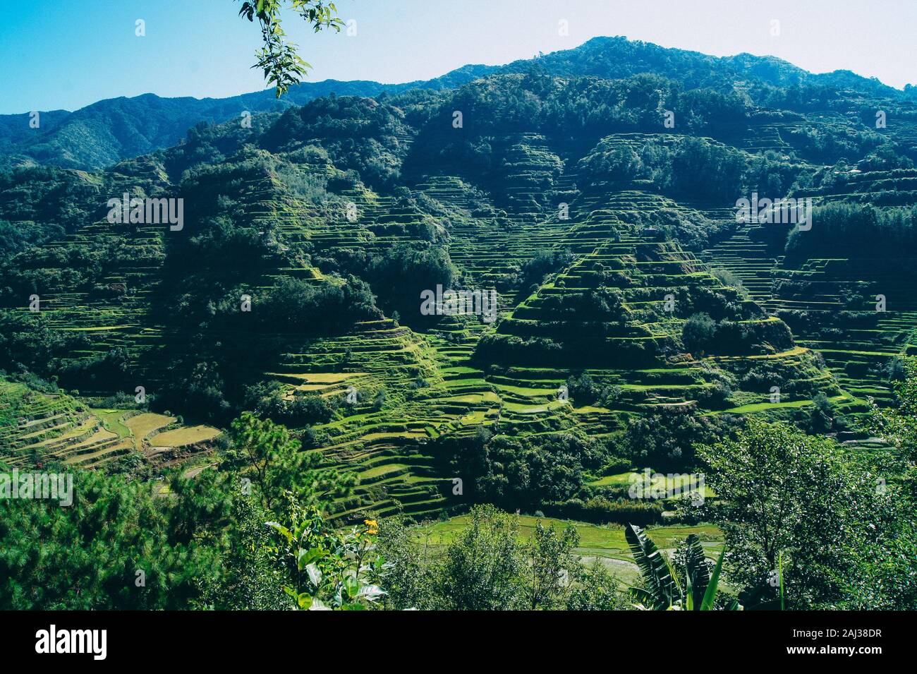 Filipino rice terrace hi-res stock photography and images - Alamy