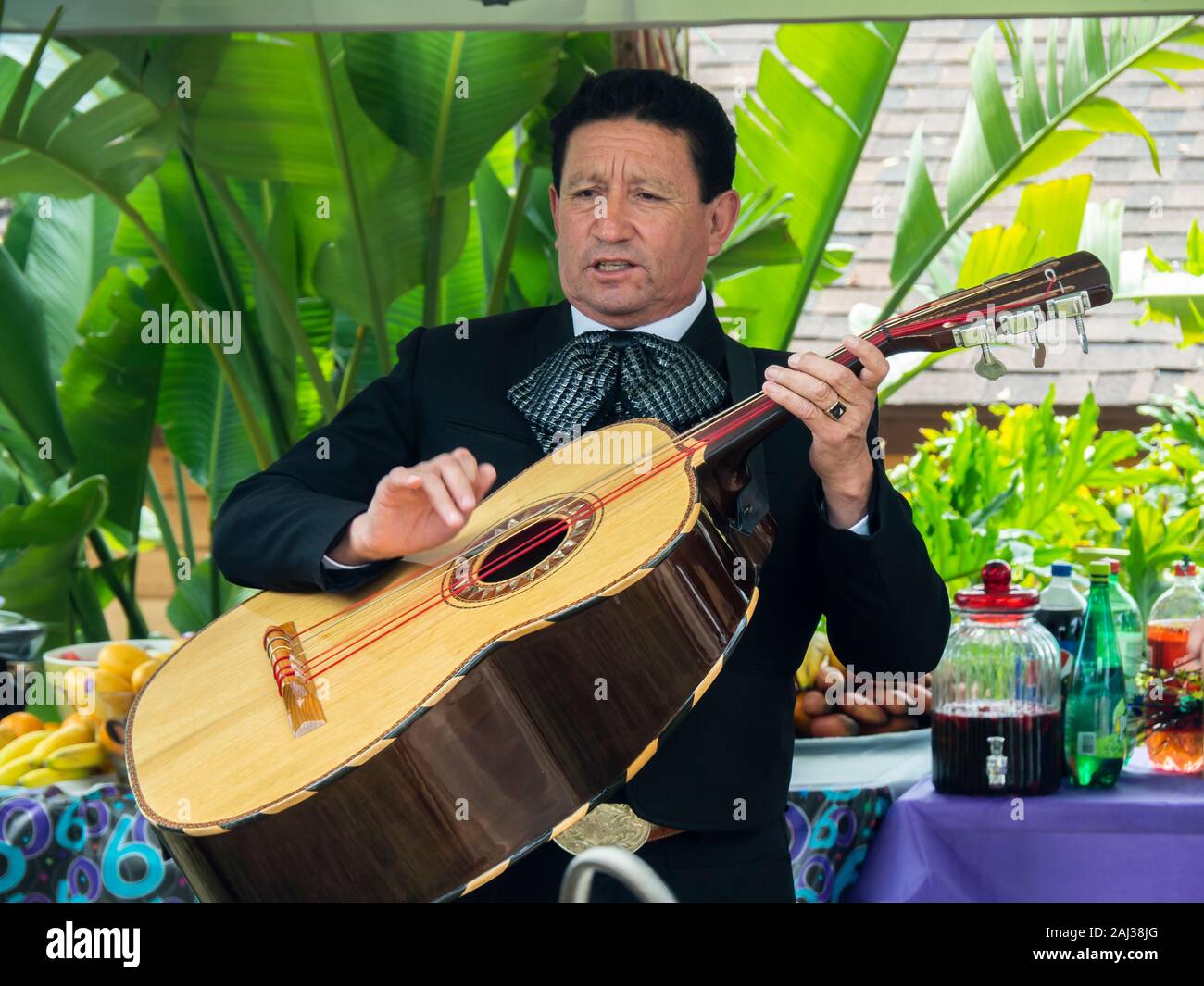 Mexican mariachi band playing happy, iconic, traditional music at ...