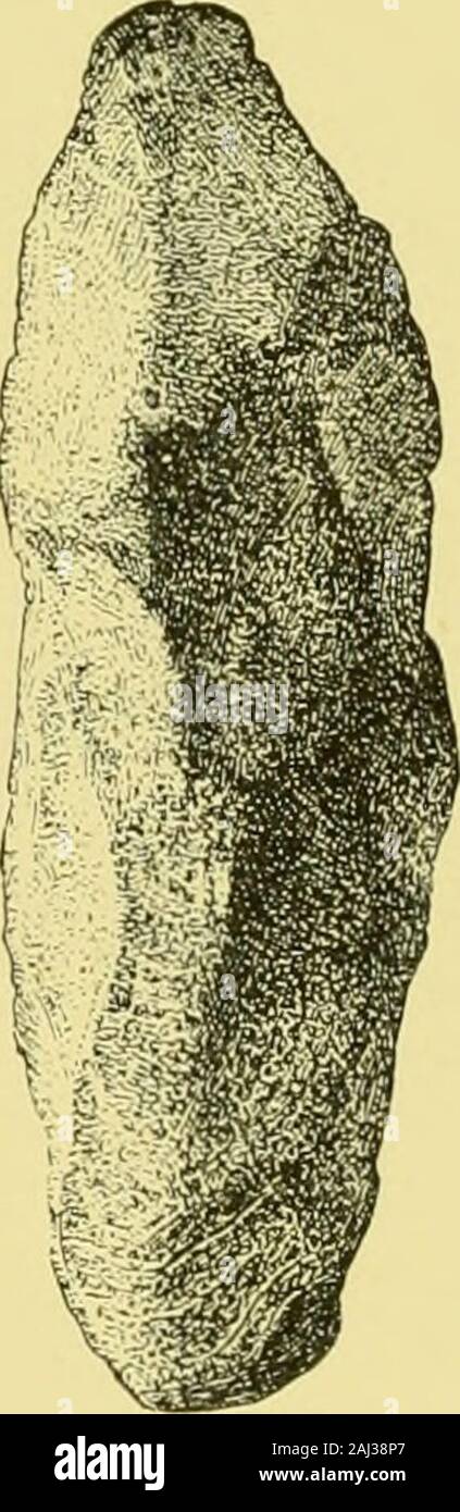 Annual report of the Bureau of Ethnology to the Secretary of the ...