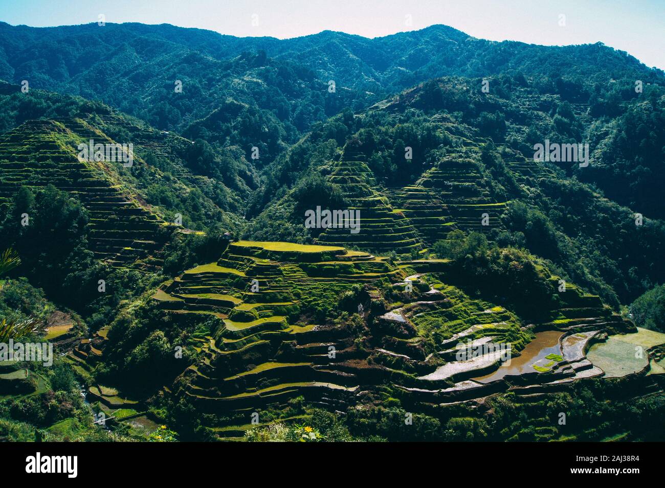 Filipino rice terrace hi-res stock photography and images - Alamy