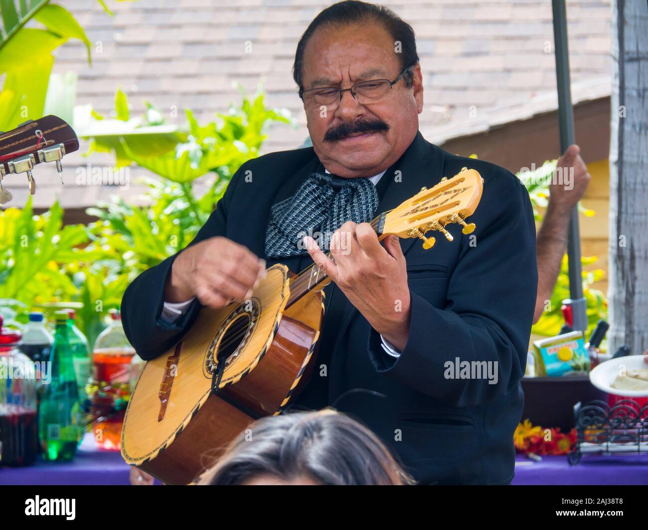 Mexican mariachi band playing happy, iconic, traditional music at ...