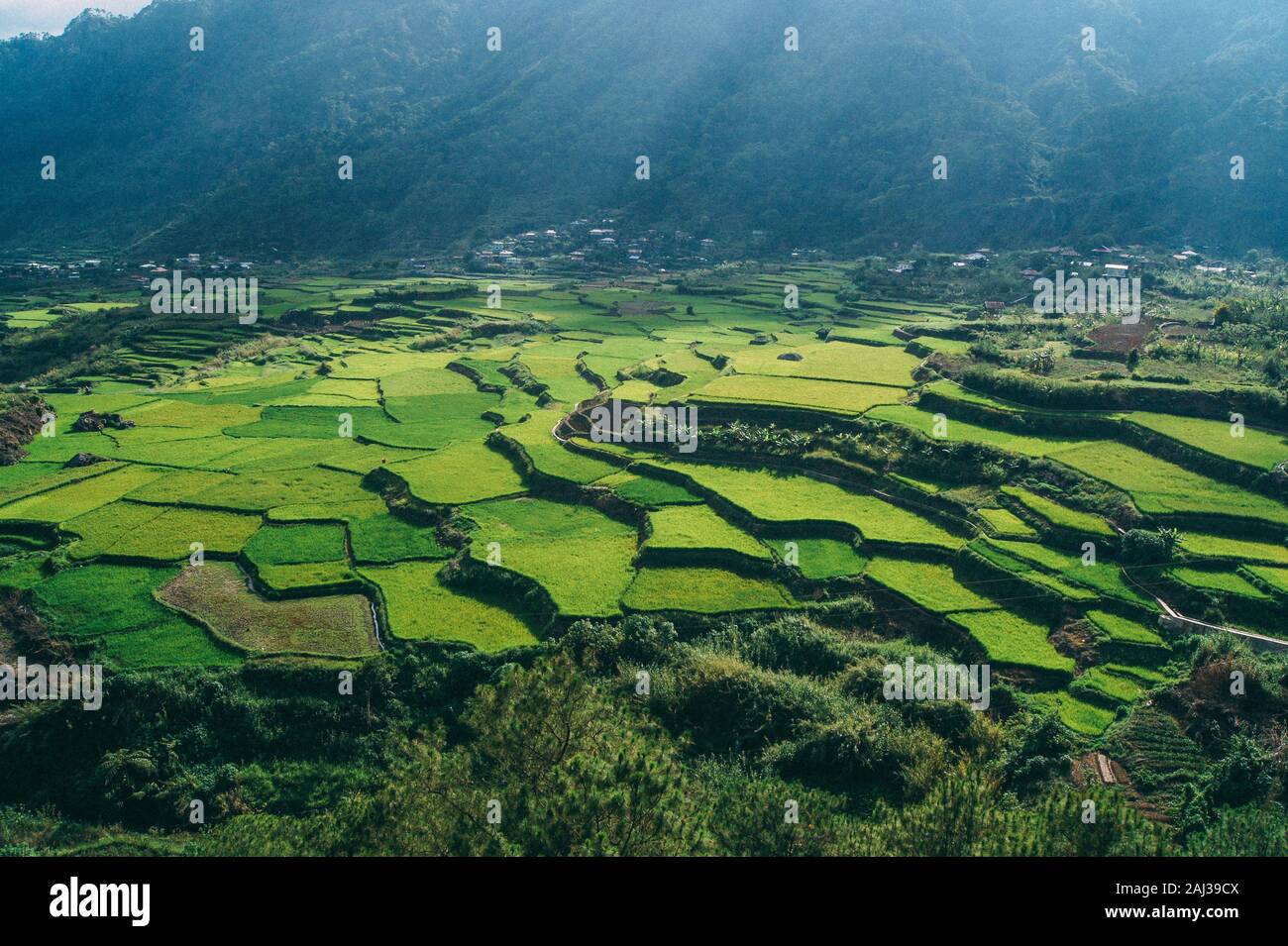 Rice terrace construction' hi-res stock photography and images - Alamy
