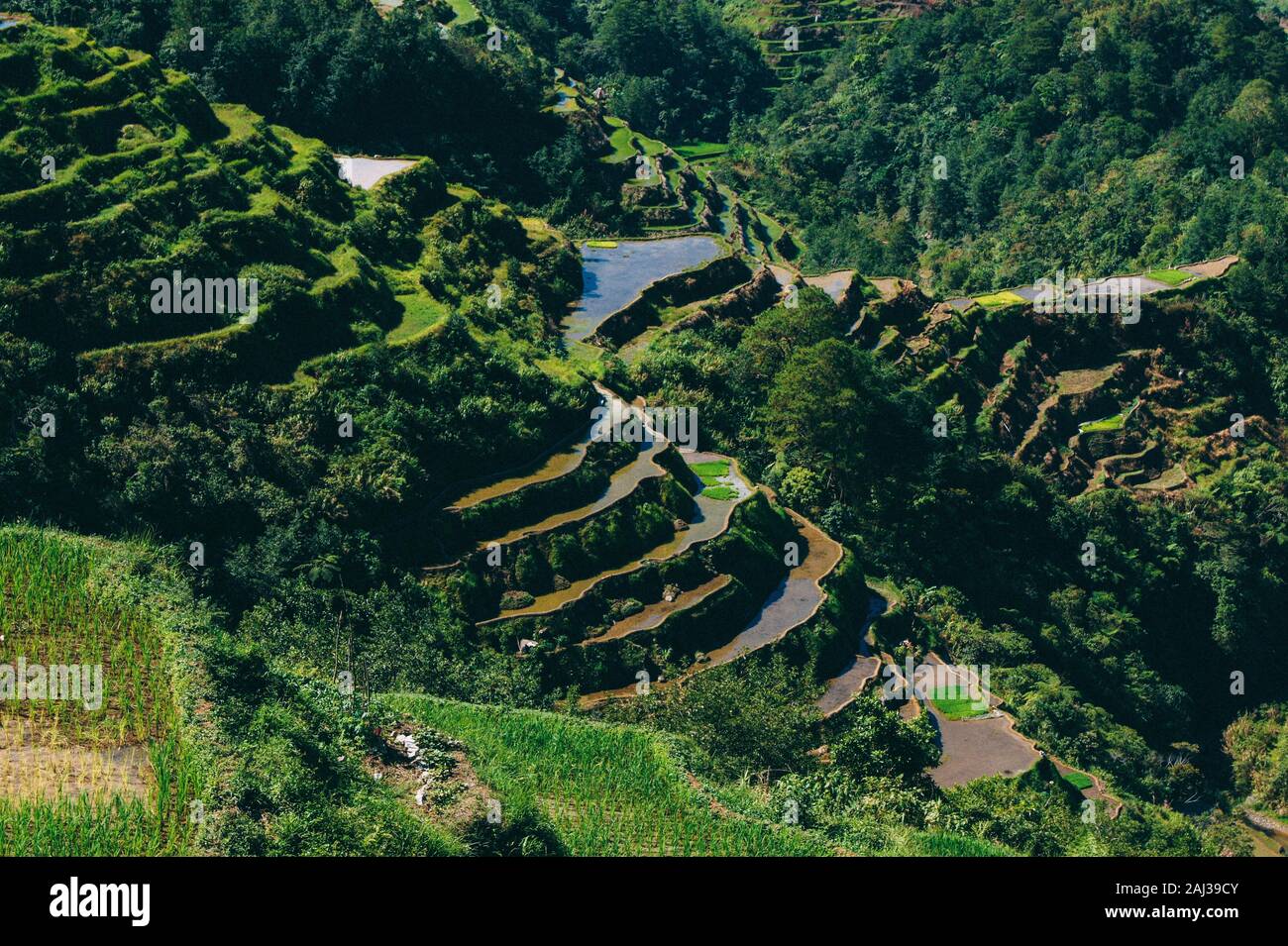 Rice terrace construction' hi-res stock photography and images - Alamy