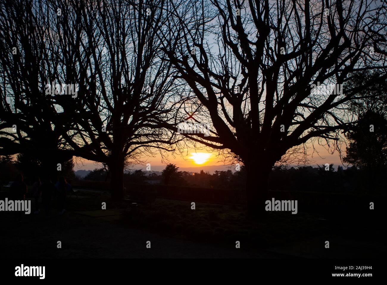 sunset with tree branches in shadow and reflection of the sun in the ...