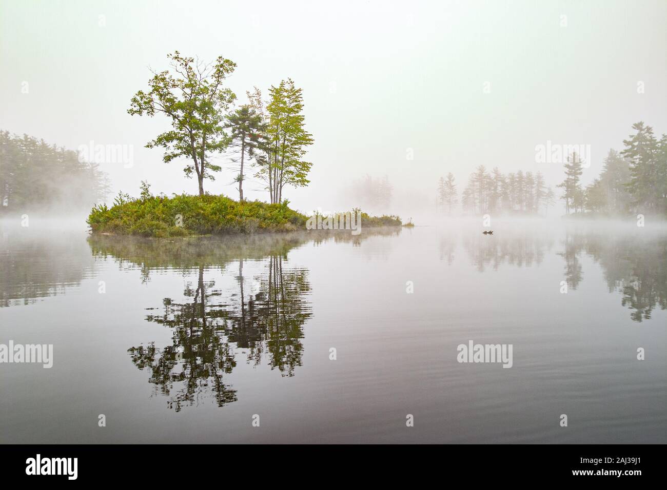 Tully lake massachusetts hi-res stock photography and images - Alamy