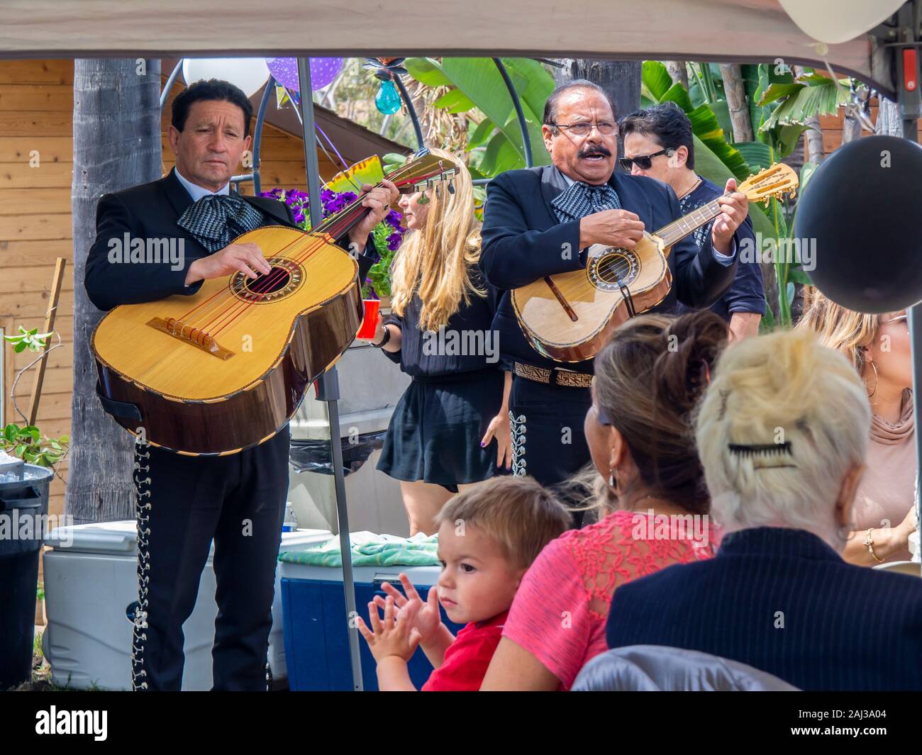Mexican mariachi band playing happy, iconic, traditional music at ...