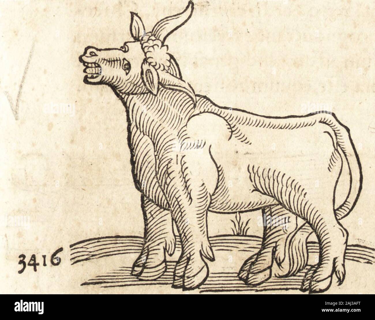 Ad populum hi-res stock photography and images - Alamy