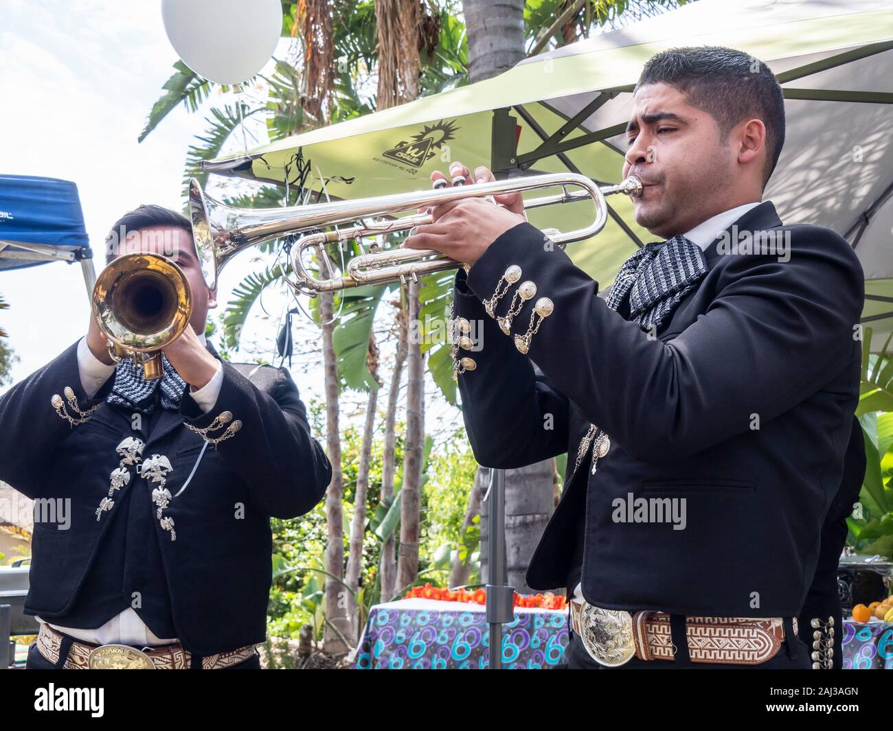 Mexican mariachi band playing happy, iconic, traditional music at ...