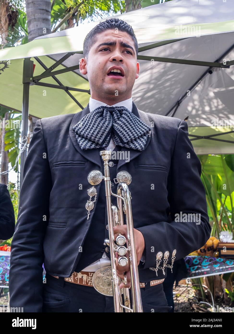 Mexican mariachi band playing happy, iconic, traditional music at ...