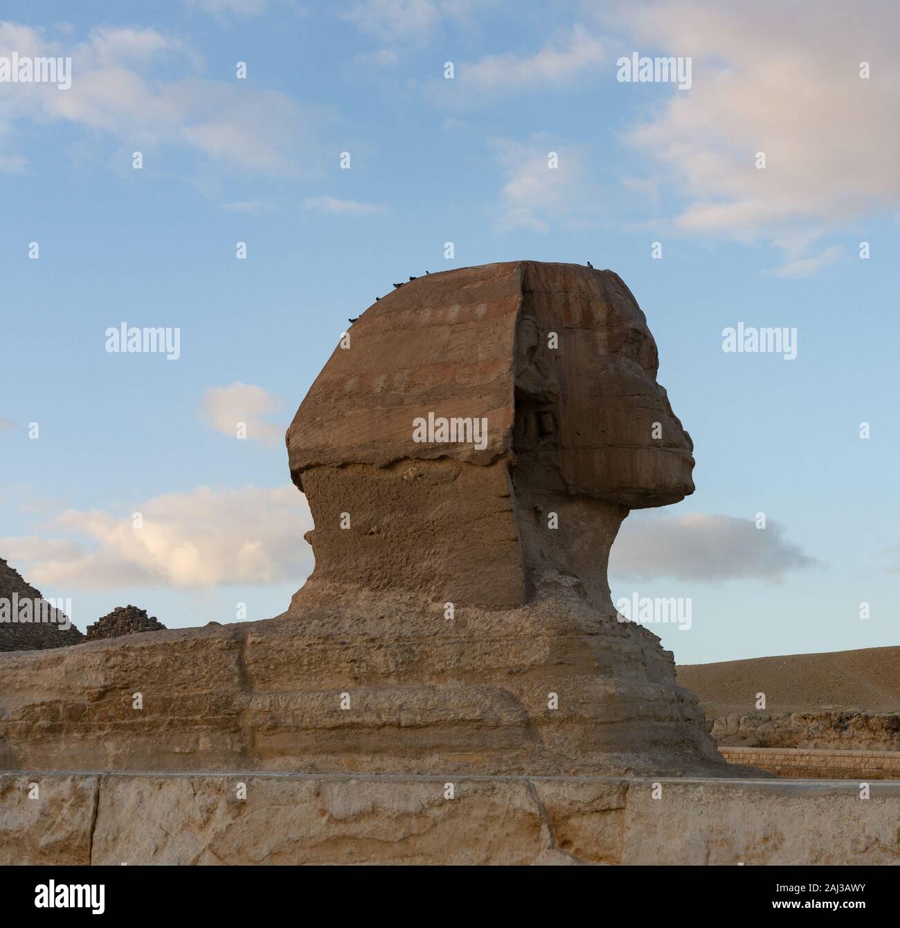 Head of ancient Sphinx in Giza pyramid complex also called the Giza ...