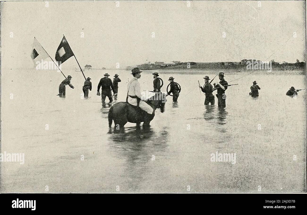 Fighting in the Philippines; authentic original photographs . Officers ...