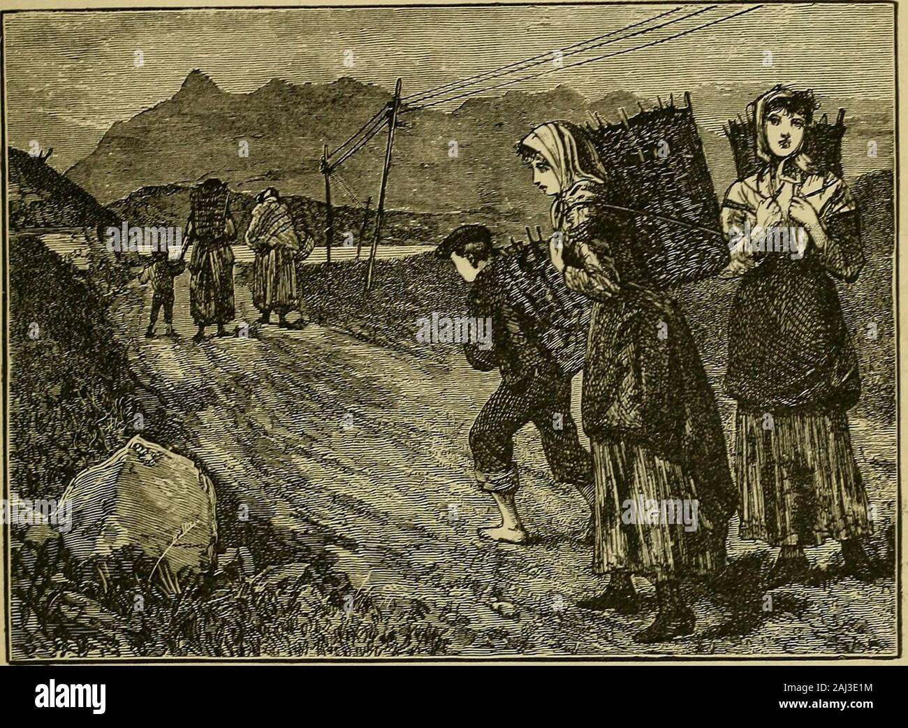 Expose peat hi-res stock photography and images - Alamy