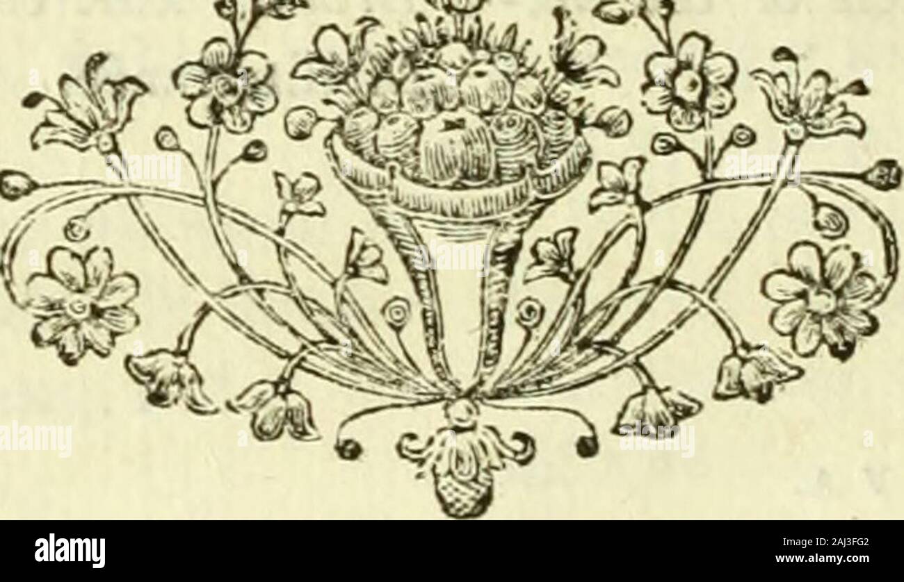 Forme ovale allongée hi-res stock photography and images - Alamy