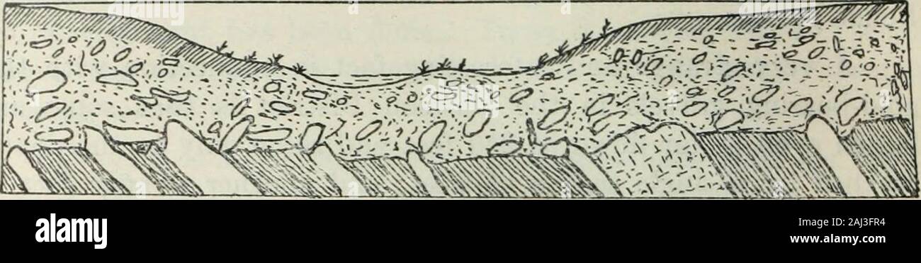 Quartz gold lodes hi-res stock photography and images - Alamy