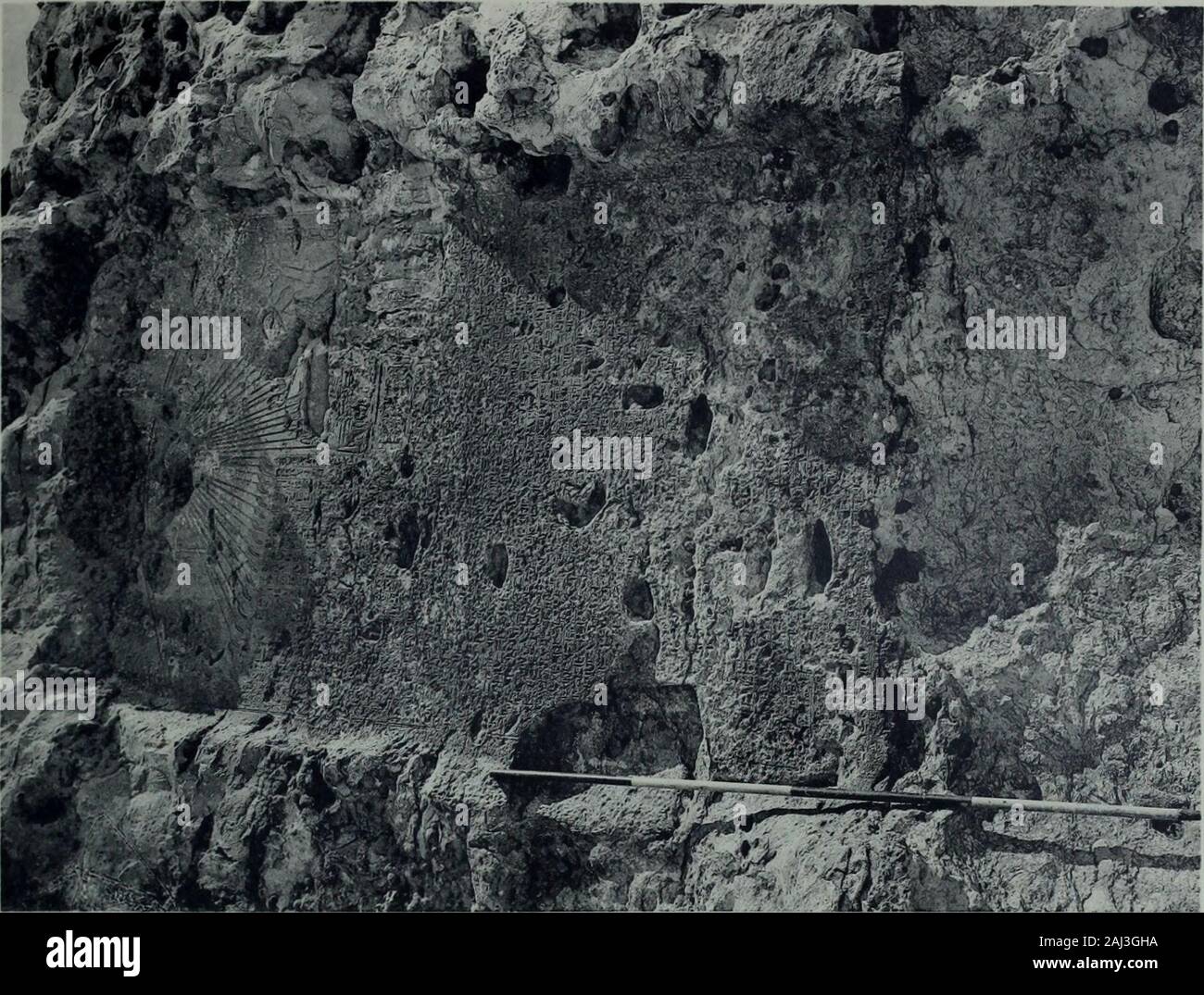 Archaeological survey of Egypt memoir . TOMB 22 STATUES /Sfefa /I/ EL ...