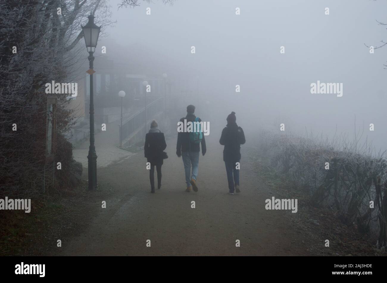 People walking through fog in Uetliberg, Switzerland Stock Photo - Alamy