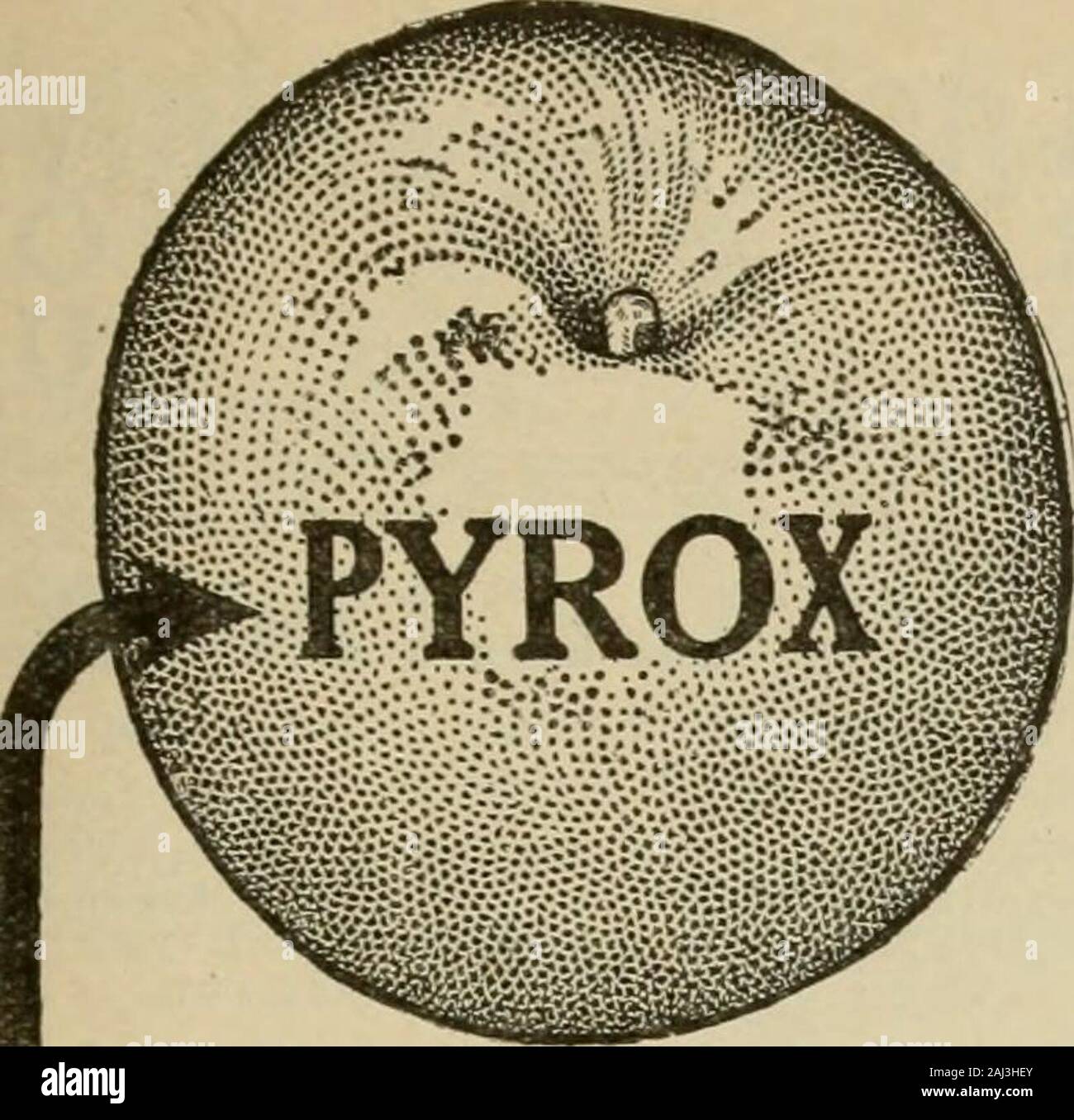 Tyson insects hi-res stock photography and images - Alamy