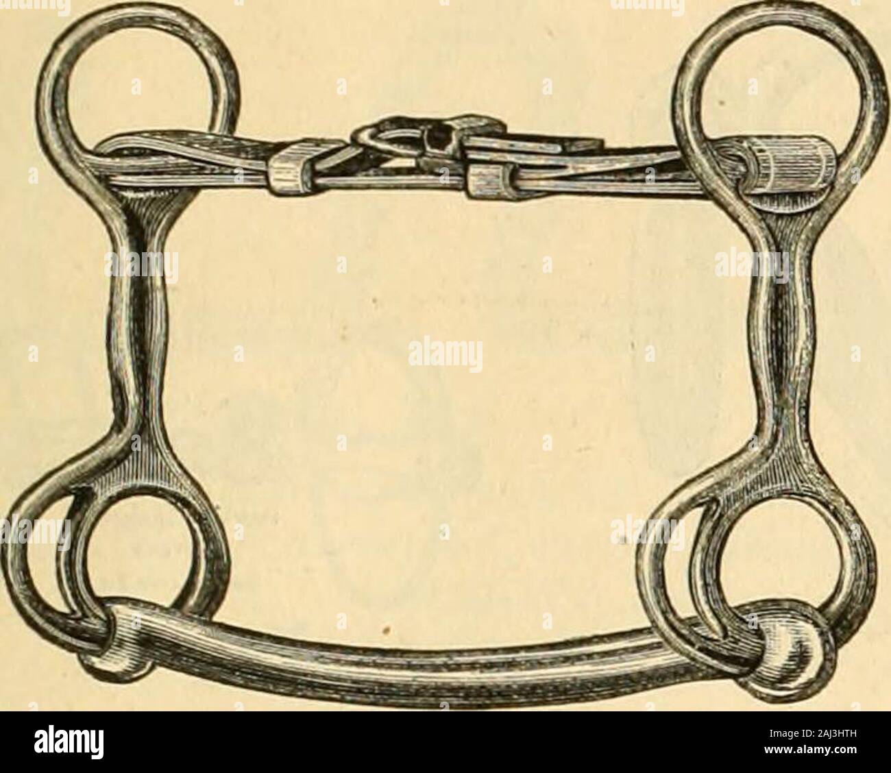 Horse mouth bits hi-res stock photography and images - Alamy