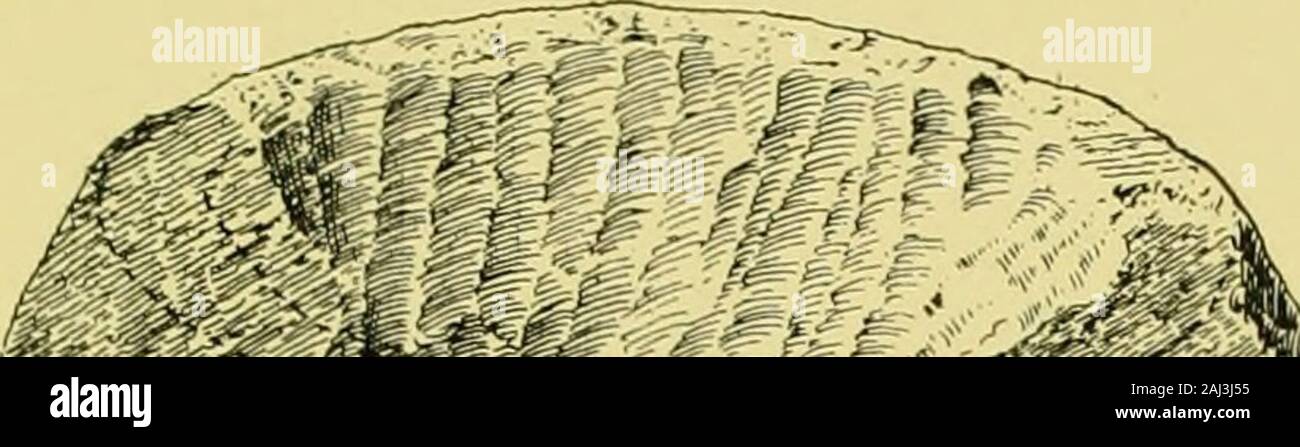 Evidence of oxidation hi-res stock photography and images - Alamy