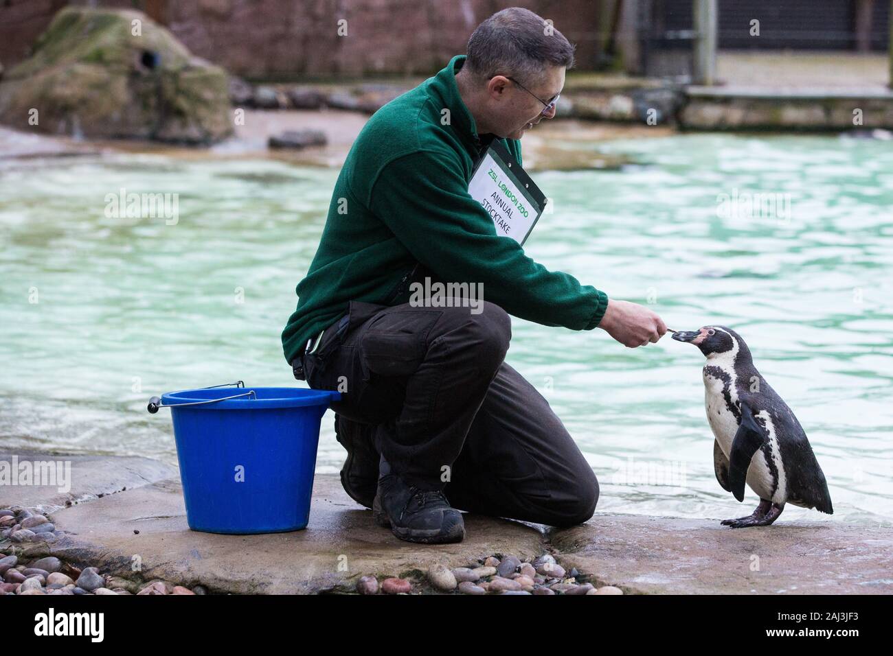 Zoo licence hi-res stock photography and images - Alamy