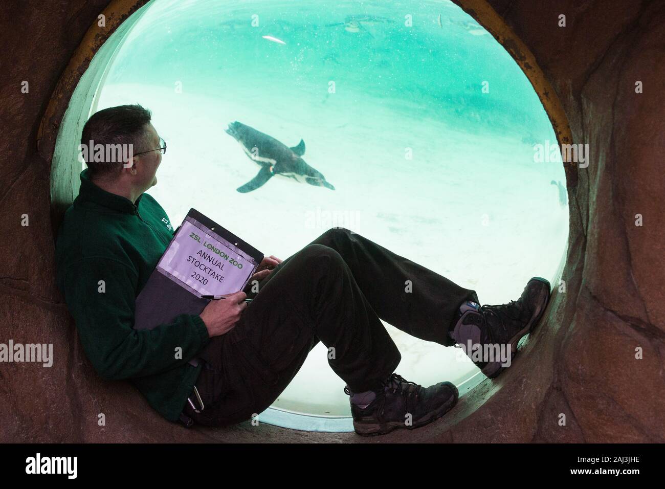 Zoo licence hi-res stock photography and images - Alamy