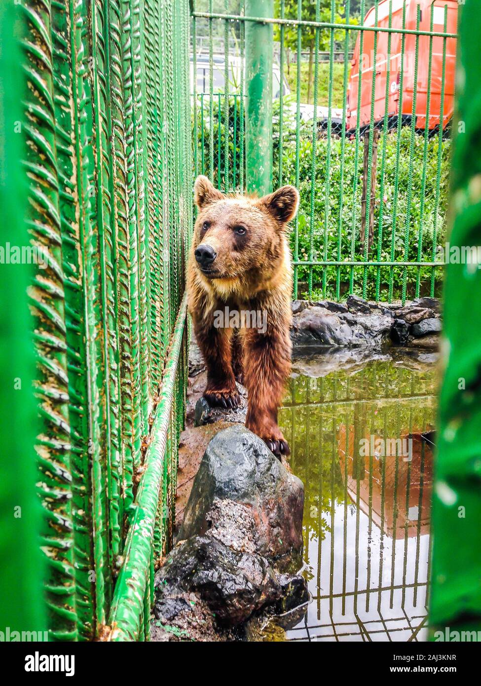 Ursus prison hi-res stock photography and images - Alamy